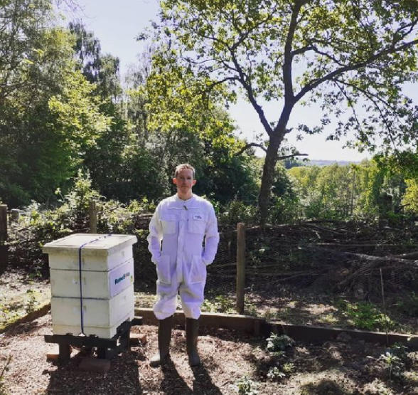 bees – manchester beekeeping and wildlife friendly gardening