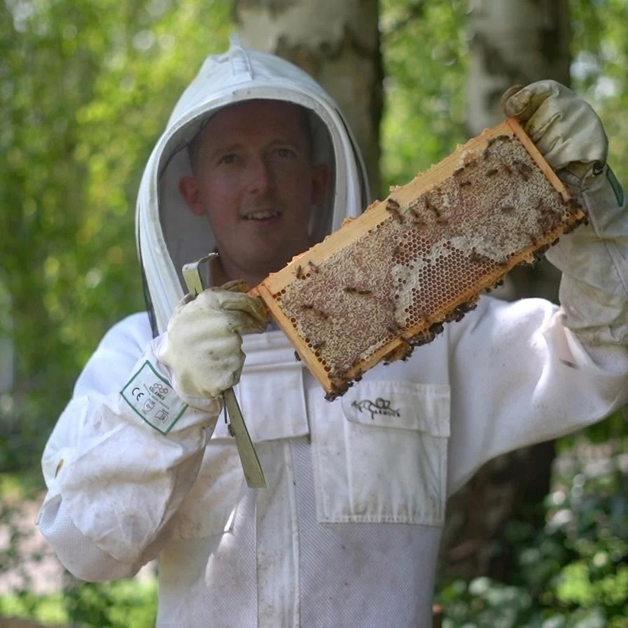 manchester beekeeping and wildlife friendly gardening – great tasting ...